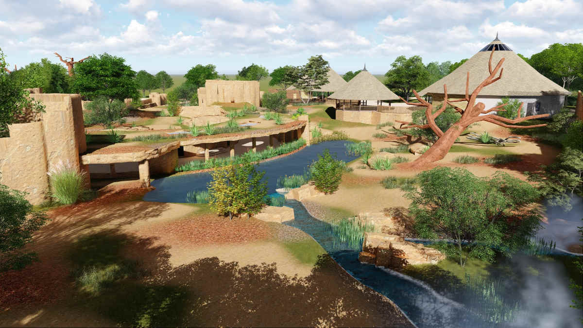 Les cabines du zoo de Beauval s’envolent dès le 30 mars : découverte en ...