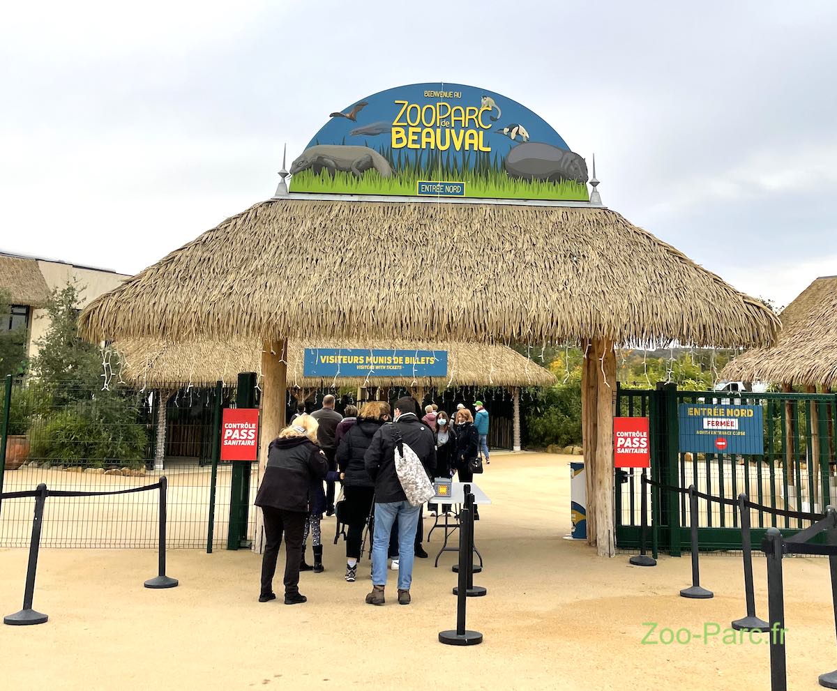 Panda à Beauval en 2025 : comment et o les voir au zoo ?Guide Zoos Zoo ...