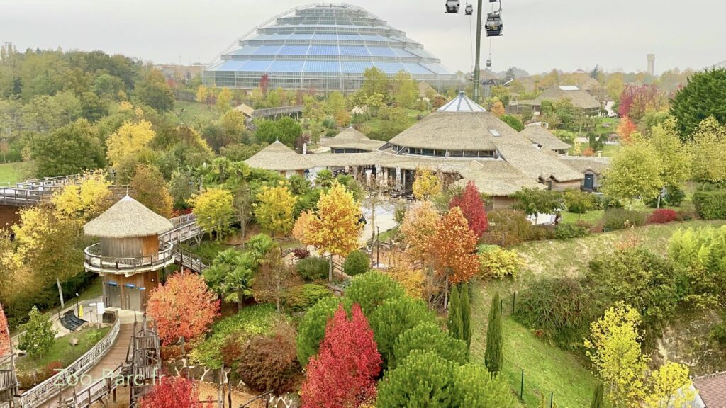 Meilleures expériences de Beauval 2025 : à voir absolumentGuide Zoos ...