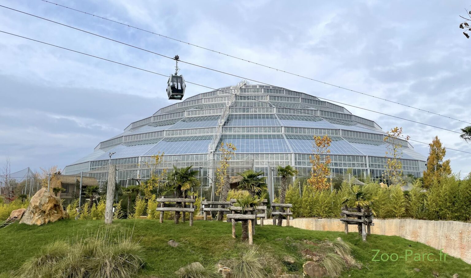 1ère visite au Zoo de Beauval : préparation, conseils et infos ...