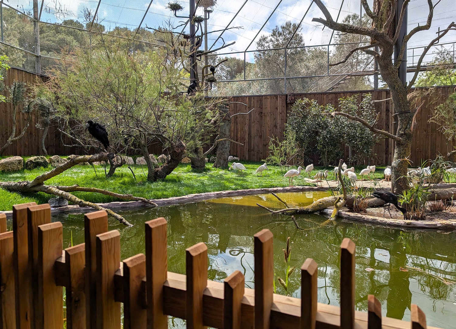 Les nouveautés zoo 2025 à voir dans plus de 30 parcs animaliers et ...