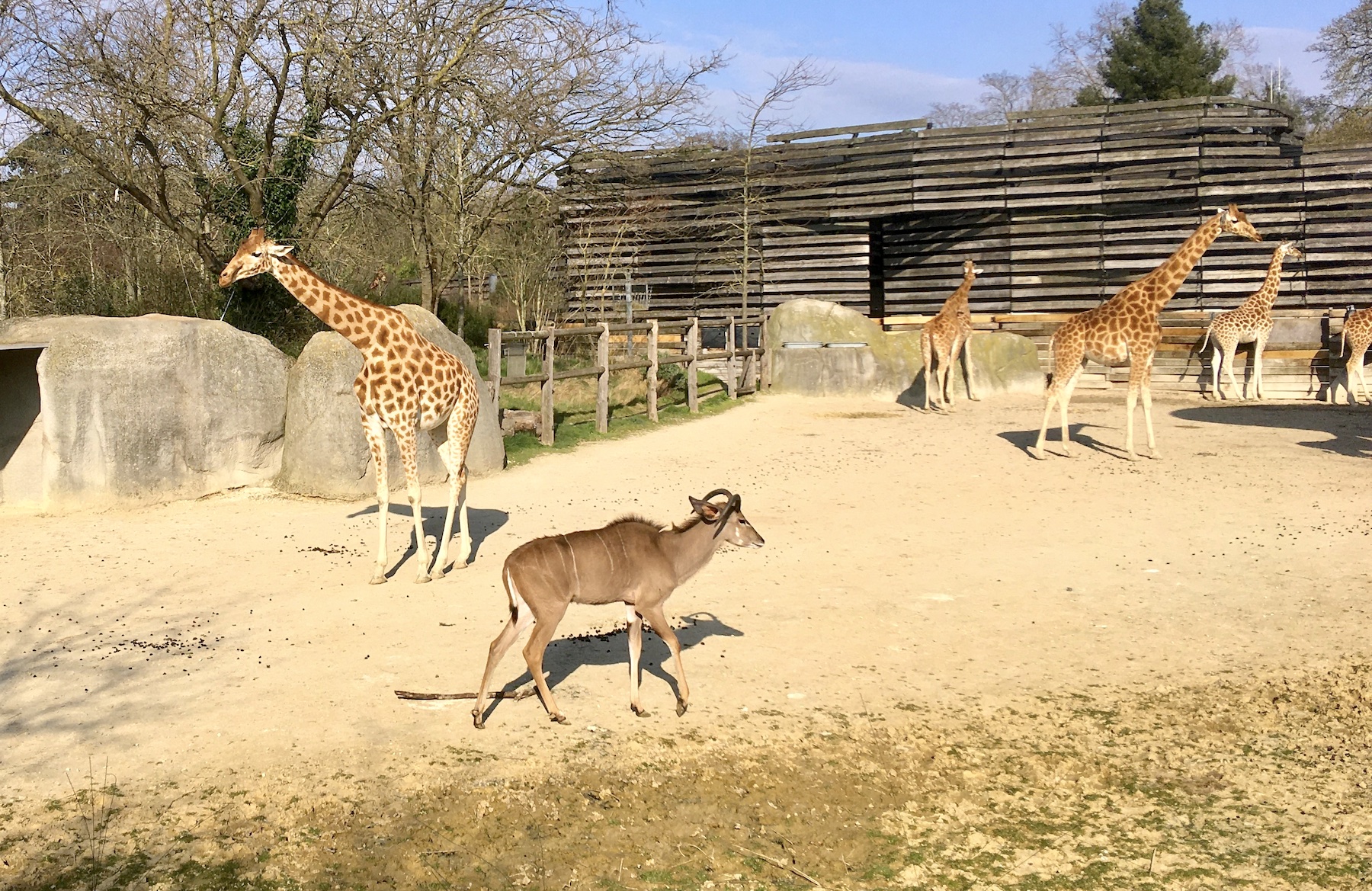 Étude de l'inflation 2025 dans les zoos : budget à prévoirGuide Zoos Zoo-Parc.fr