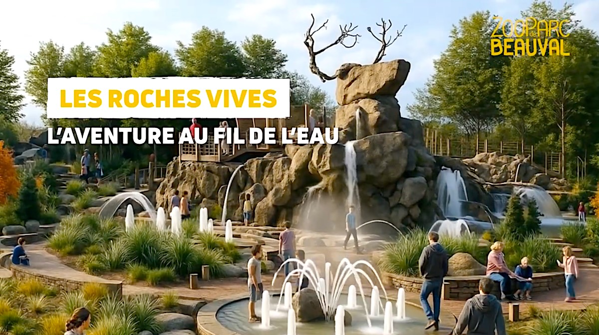 Trois nouveautés 2026 du Zoo de Beauval déjà dévoilées (vidéo)Guide ...